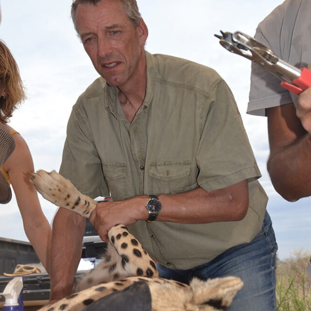 Kanzlei Struif, Müffelmann & Partner - Rechtsanwälte & Notar in Verden